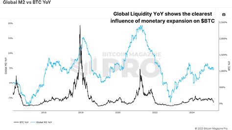How Global Liquidity Fuels Bitcoin Price Growth