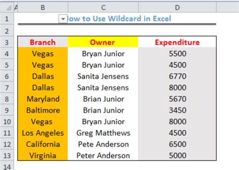 How To Use Wildcards In Excel Excelchat Excelchat