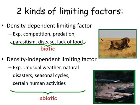 Limiting Factors Definition Biology Simple