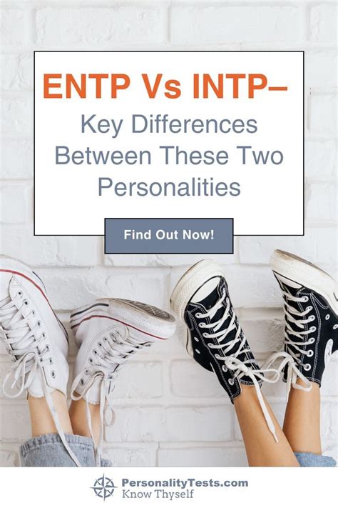 ENTP Vs INTP Key Differences Between These Two Personalities