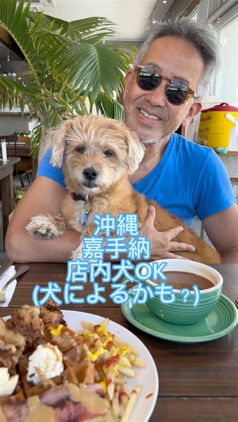 宮本亜門さんのインスタグラム動画 宮本亜門Instagram おはようにちようび ペット可カフェ 沖縄 嘉手納