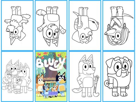 Minilibro De Bluey Profesocial