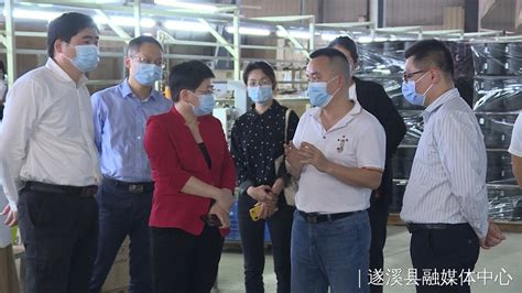 湛江市领导到遂溪县调研电商工作遂溪县人民政府公众网站