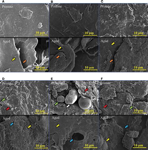 Figure 2 From Photodegradation Of Biobased Polymer Blends In Seawater A Major Source Of