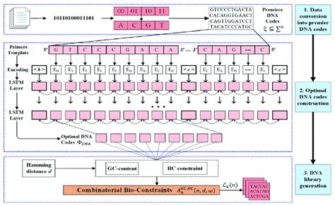 The Proposed Computational Model With Nn And Combinatorial