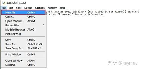 Phyton如何新建文件？ 知乎