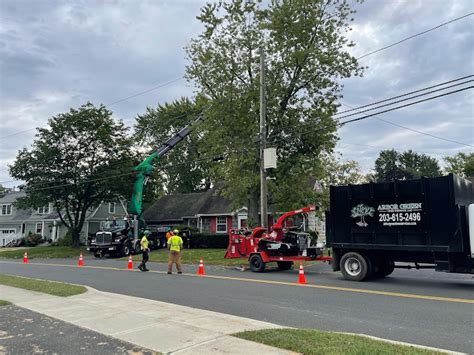 Tree Service Stratford CT Tree Removal Land Clearing