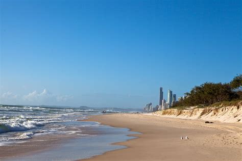 澳大利亚 黄金海岸 黄金海岸 澳大利亚 新浪新闻