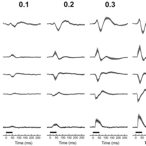 Waveforms Of The Auditory Evoked Potential Aep Multiunit Activity