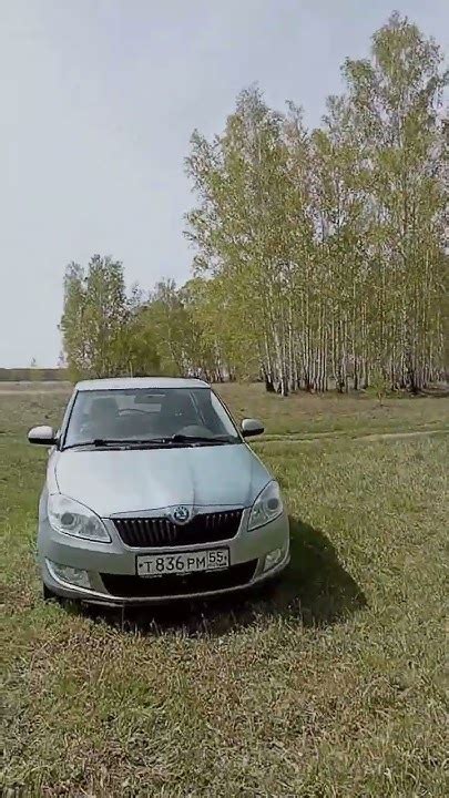 первая съедобная зелень в Сибири Youtube