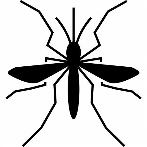 Aedes Dengue Mosquito Zika Icon Download On Iconfinder