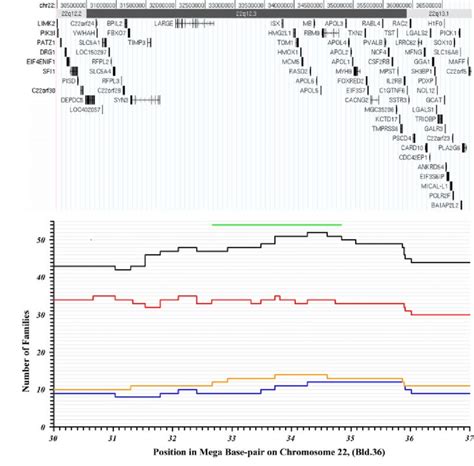 Known Candidate Genes Located In Shared Consensus Interval At 22q12 3 Download Scientific