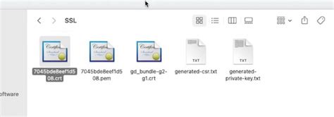 How To Get The Ssl Certificate From Godaddy Social Good Software