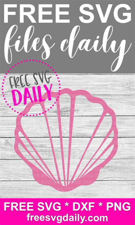 Seashell SVG Free Cut Files For Cricut And Silhouette