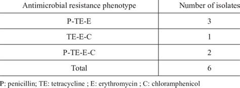 Phenotypic Resistance Patterns Among Multidrug Resistant Enterococcal