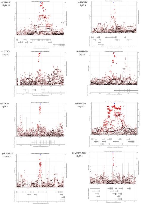 Regional Plots For Association Of Genotyped And Imputed Snps In The