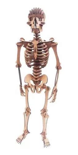 Rompecabezas 3D Esqueleto Humano 115 Piezas Pasiani MercadoLibre