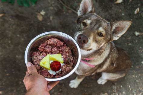 What Does It Mean To Raw Feed A Dog
