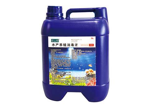 宠物系列 产品展示