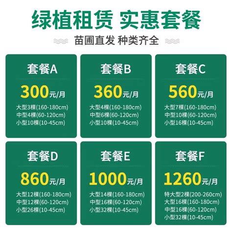 上海植物租赁 上海绿植租赁哪家好 上海绿植同城租赁 上海申青园林花卉租赁公司