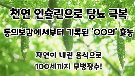 천연 인슐린 여주 먹고 당뇨 극복 여주 효능 효과 영양성분 부작용 Youtube