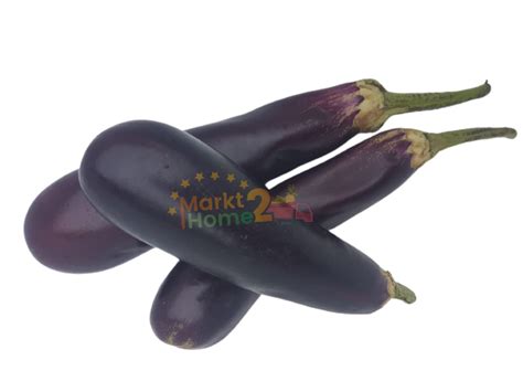 Bhata Markt Home