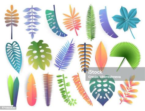 열 대 잎 컬렉션입니다 유행 여름 이국적인 야자수 몬스 테라 Philodendron Kalatea 화분 난초 바나나 코코넛 흰색