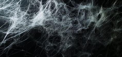 A Black Backdrop Featuring Slender Elongated White Spider Webs Extending From Both The Left And