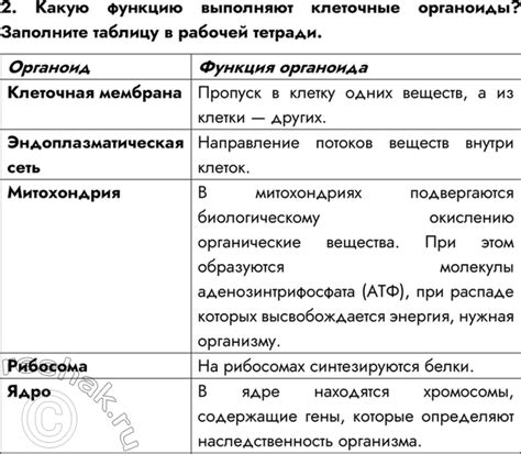 Решено Задание 2 Параграф 4 ГДЗ Драгомилов Маш 8 класс по биологии