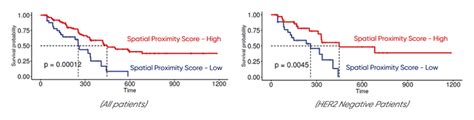 Ai Spatial Proximity Scoring Of The Bystander Effect In Adcs