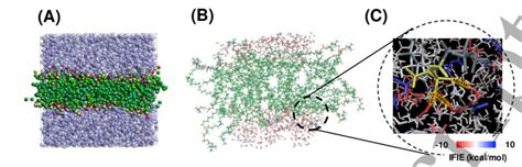 reverse mapping and fmo interaction analysis results for popc a dpd