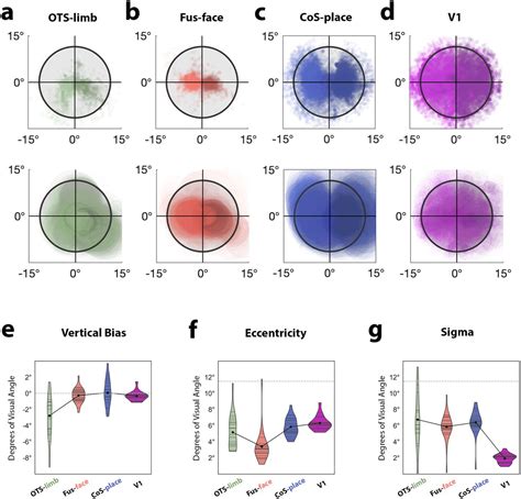 An Eccentricity Gradient Reversal Across High Level Visual Cortex