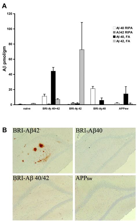 A Characterization Of Aβ Levels In Hippocampus By Aβ Sandwich Elisa