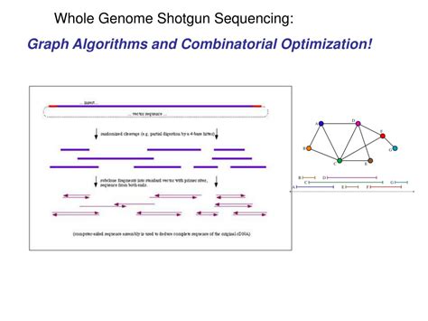 ppt cs 394c algorithms for computational biology powerpoint