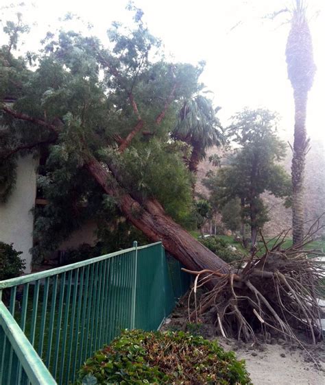 Getting Raw A Citrus Hurricane