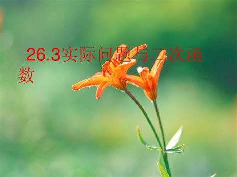 263实际问题与二次函数精品课件1 Word文档在线阅读与下载无忧文档