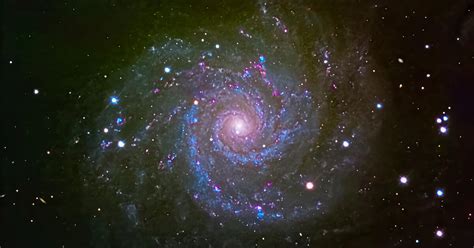 Messier 74 Telescope Live