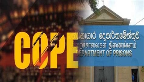 Neth News Sri Lanka Latest Sinhala News And Headlines Sri Lanka