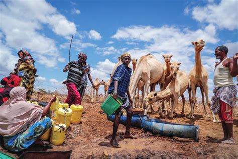 Les Dessous De La Crise Alimentaire Mondiale