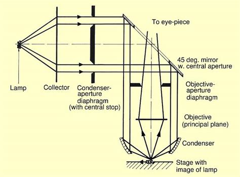 Dark Field Epi Microscopy