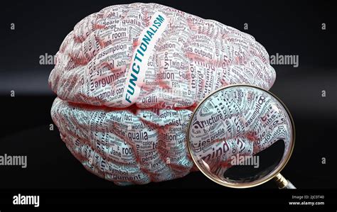Functionalism In Human Brain A Concept Showing Hundreds Of Crucial