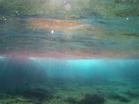 屋久島発 田舎暮らし通信 栗生の海の中