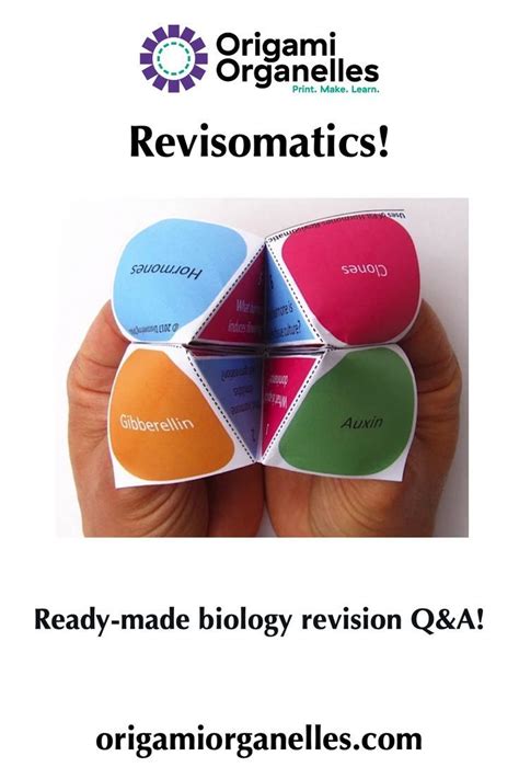 Biology Revision Help Artofit