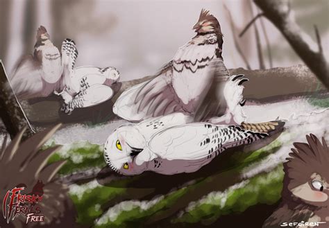 Rule 34 2013 Ambiguous Gender Avian Beak Bird Blush Cloaca Cum