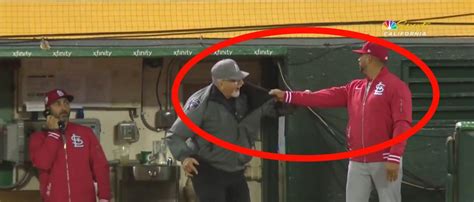 Woah Cardinals Oli Marmol Gets Physical With As Security Guard After