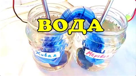 Живая и Мёртвая Вода. Как сделать дома. - YouTube