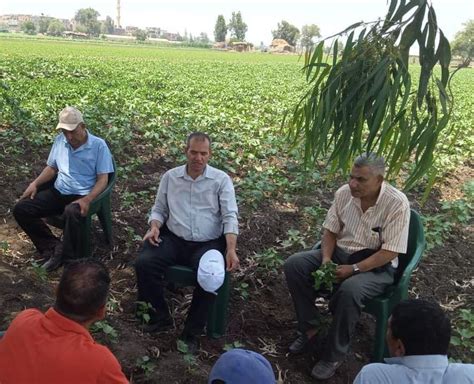 زراعة الشرقية تنظم ندوة إرشادية عن آفات المحاصيل الصيفية