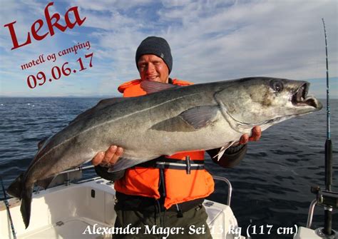 Alexander Mager Leka Motell Og Camping