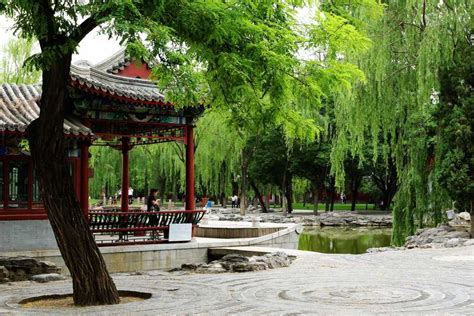 景观设计别老拿中国传统文化说事精彩无限，落地有声 龙景园旅游规划设计院