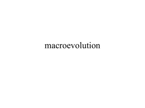 Macroevolution